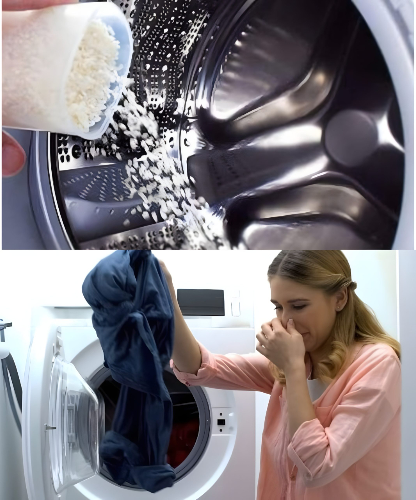 SLECHTE GEUR UIT DE TROMMEL VAN DE WASMACHINE: DE ENIGE METHODE OM HET ...